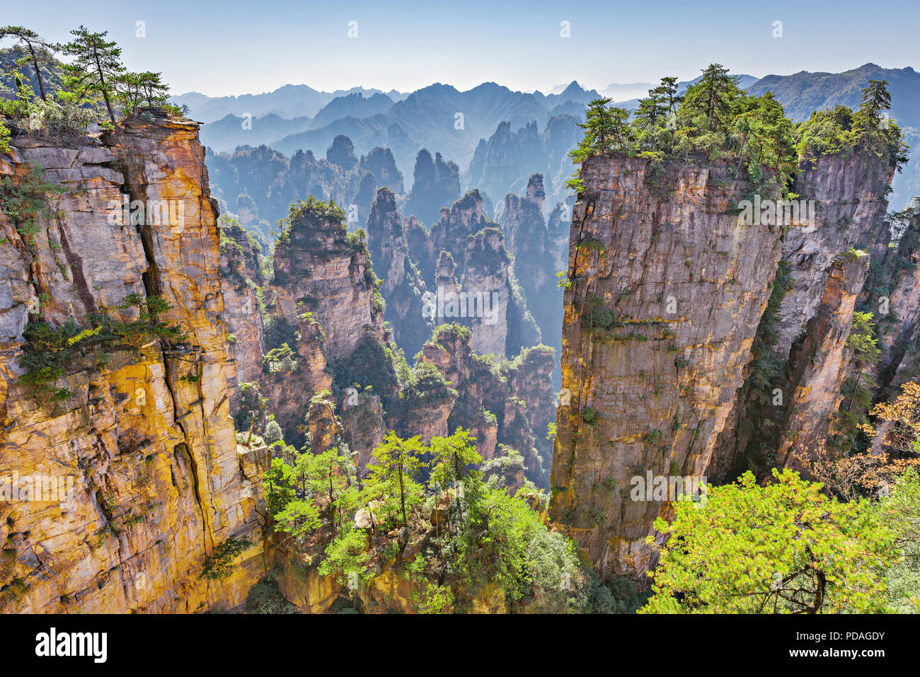 Colorful cliffs in Zhangjiajie Forest Park. China Stock Photo - Alamy