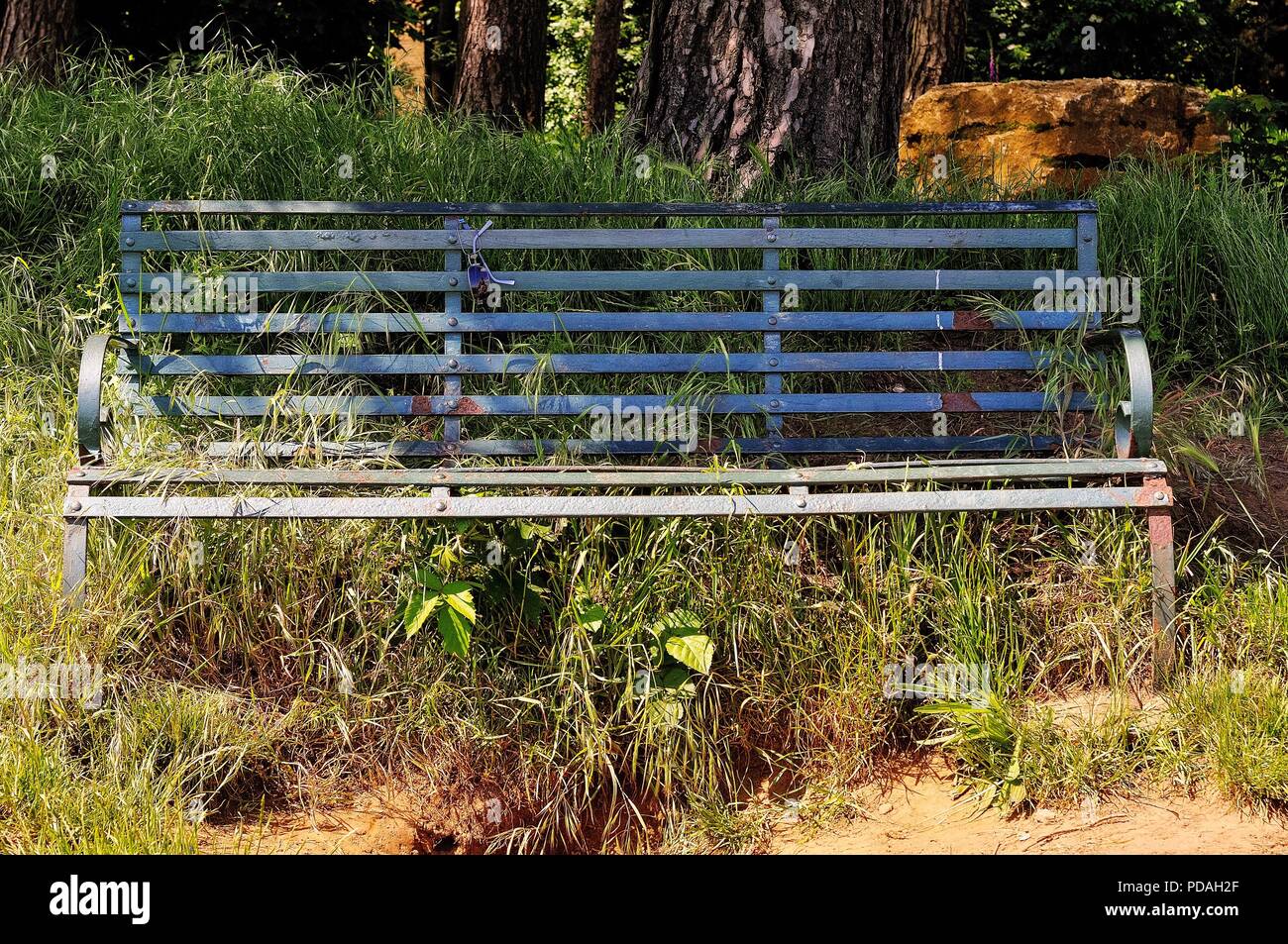 Blue bench outdoors hi-res stock photography and images - Alamy