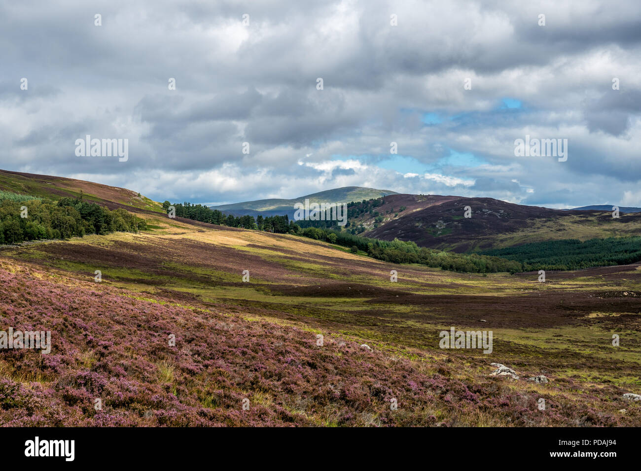 The mountain Morven viewed from Glen Girnock Stock Photo - Alamy