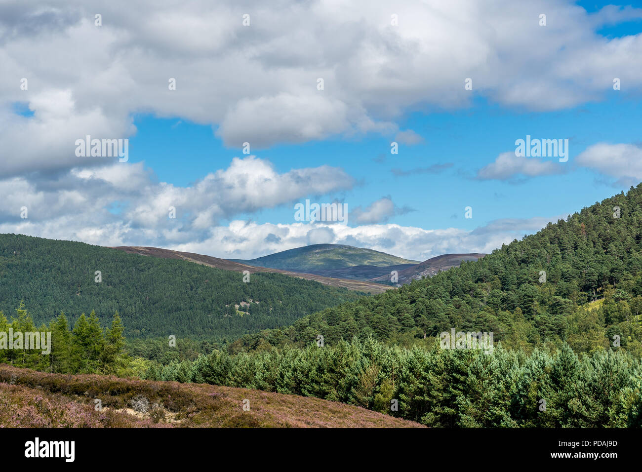 Morven hills hi-res stock photography and images - Alamy