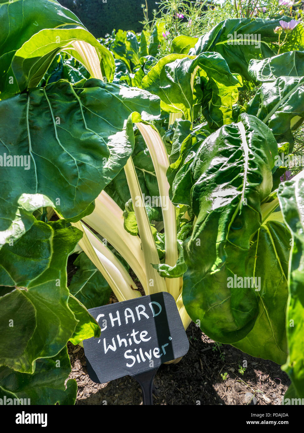 Slate sign hi-res stock photography and images - Alamy