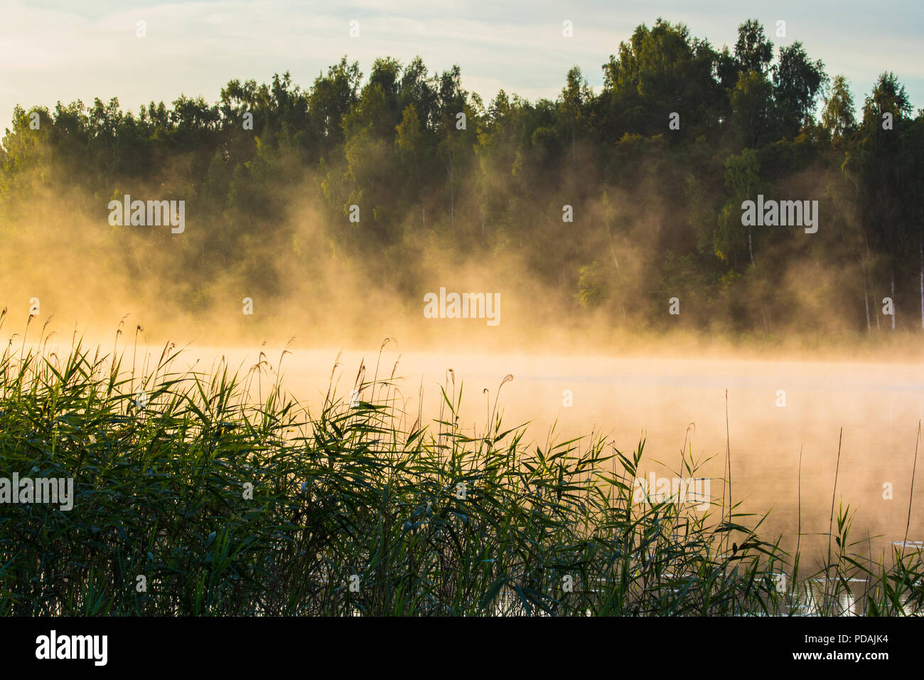 Sun lake springtime hi-res stock photography and images - Alamy