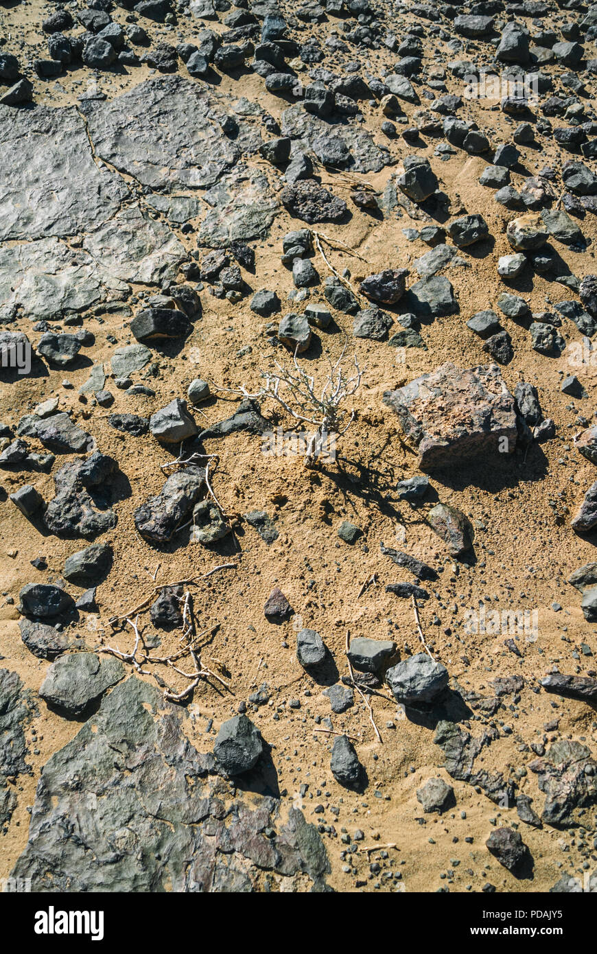 Solo seco hi-res stock photography and images - Alamy