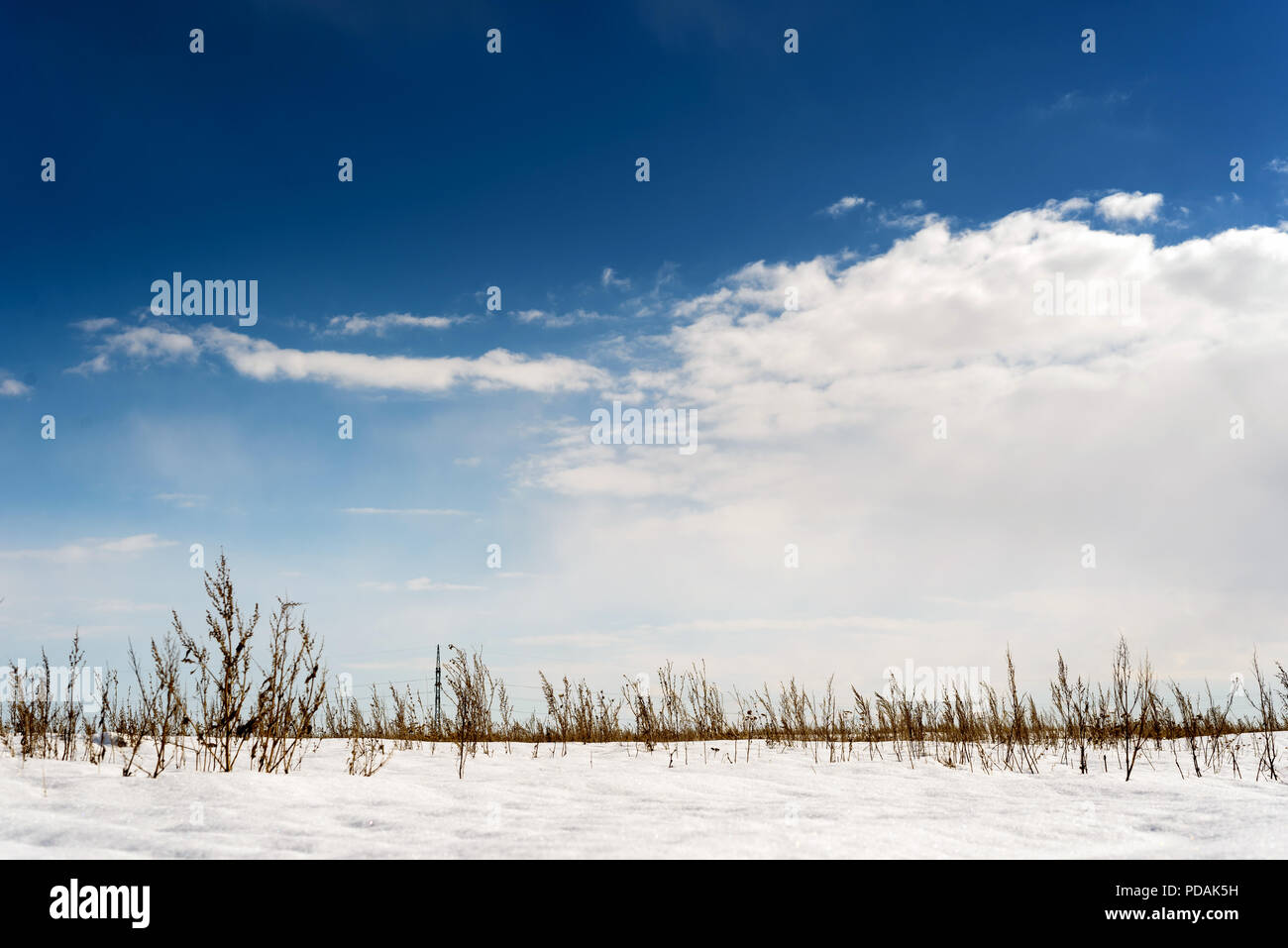 Winter snowscape of wild fields with weeds and large snow clouds and ...