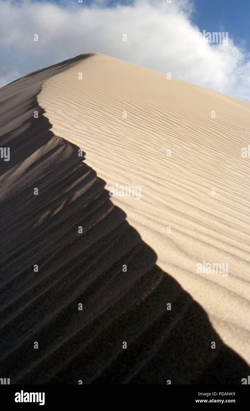 Sand dunes western australia hi-res stock photography and images - Alamy