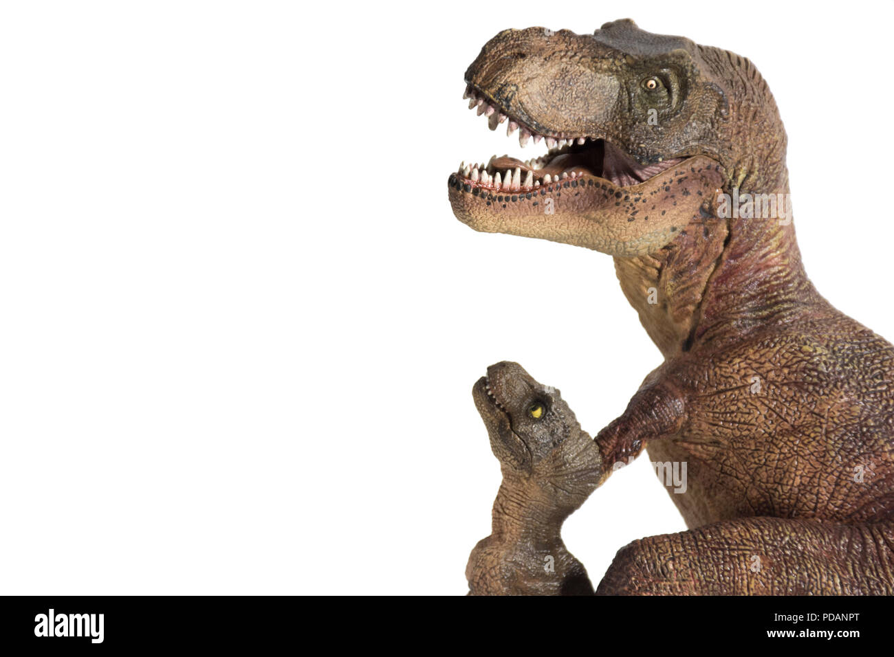 Tyrannosaurus rex with baby t-rex isolated on white background Stock ...