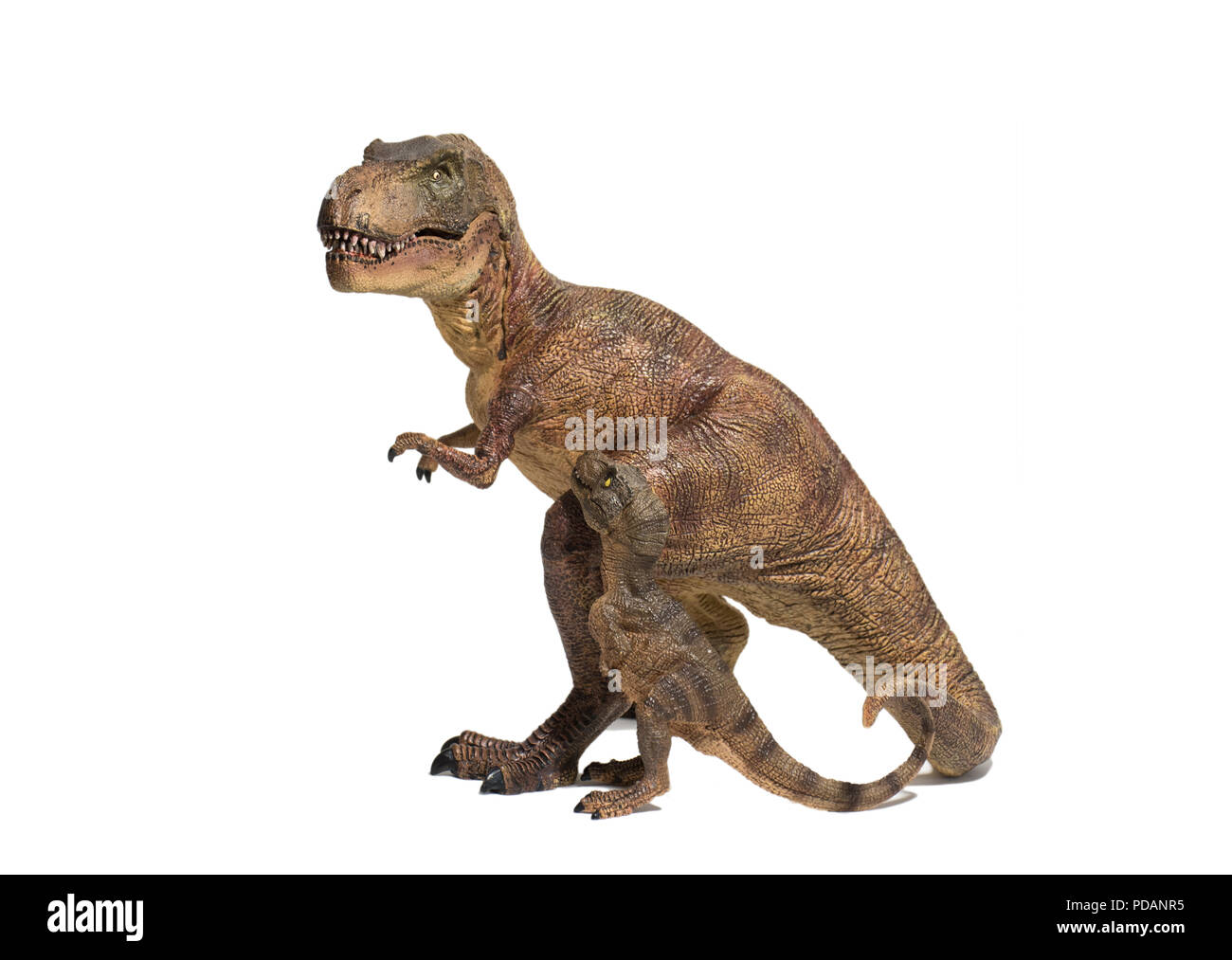 Tyrannosaurus rex with baby t-rex isolated on white background Stock ...