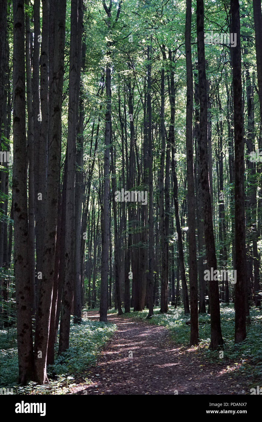 Bitsevsky park hi-res stock photography and images - Alamy