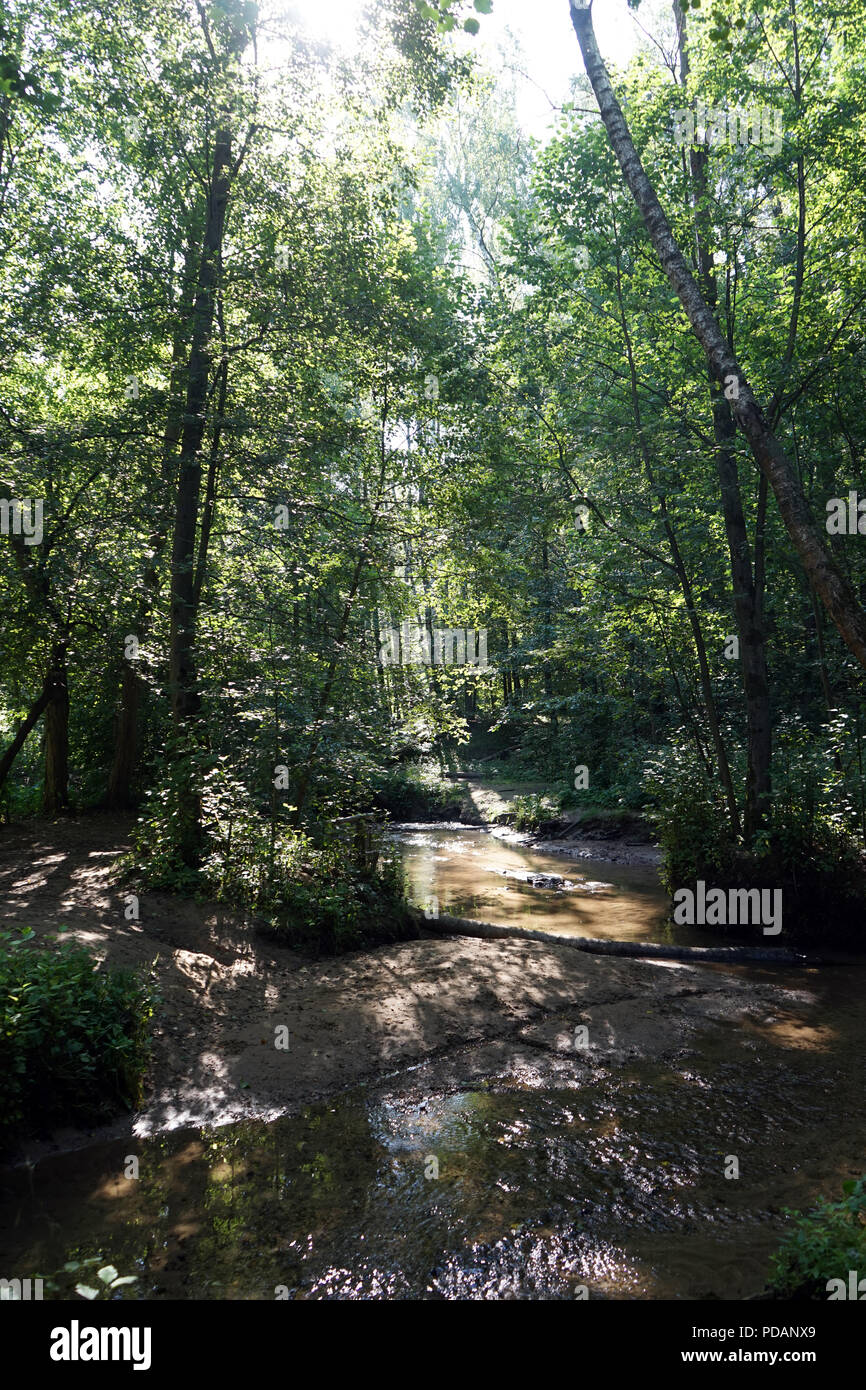 Trees and river in Bitsevsky park in Moscow, Russia Stock Photo - Alamy
