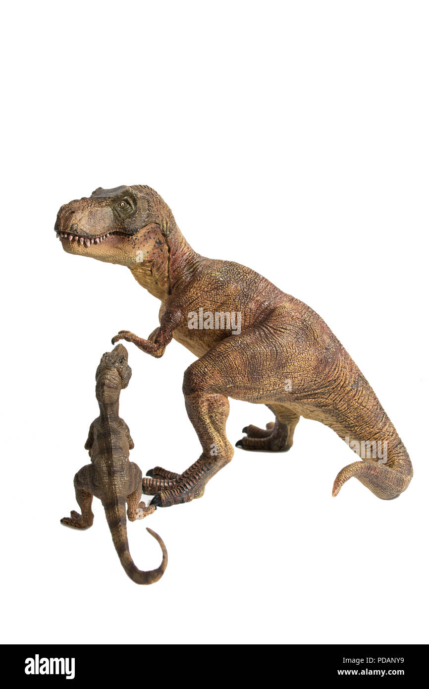 Tyrannosaurus rex with baby t-rex isolated on white background Stock ...
