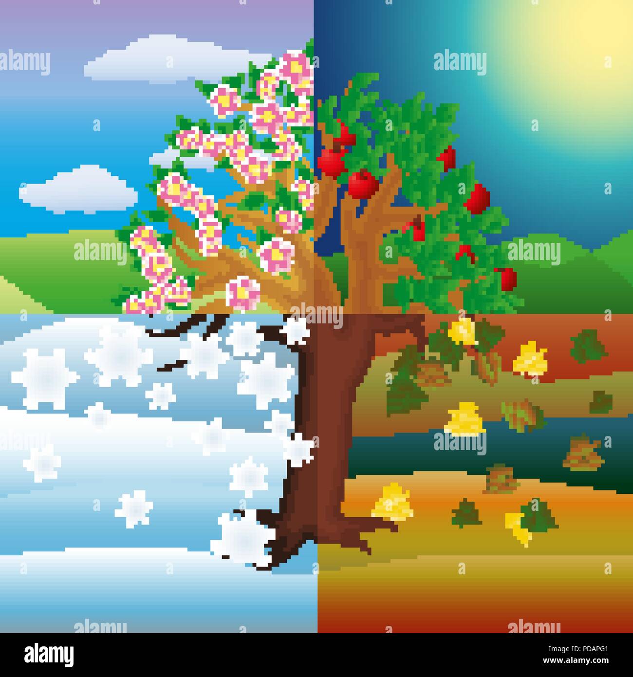 Four seasons tree, vector illustration Stock Vector Image & Art - Alamy