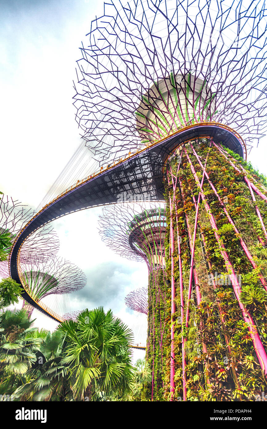 Singapore, Marina Bay, Gardens by the Bay, the Supertree Grove Stock ...