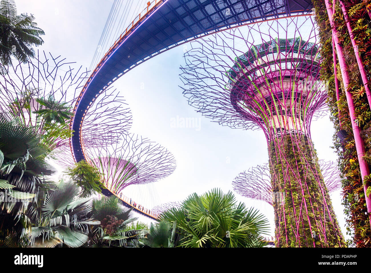Singapore, Marina Bay, Gardens by the Bay, the Supertree Grove Stock ...