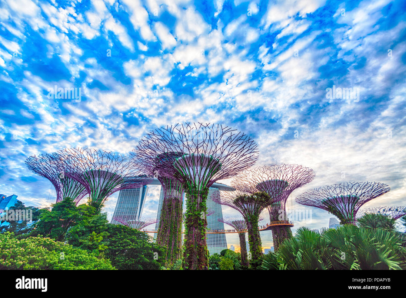 Futuristic supertrees hi-res stock photography and images - Alamy