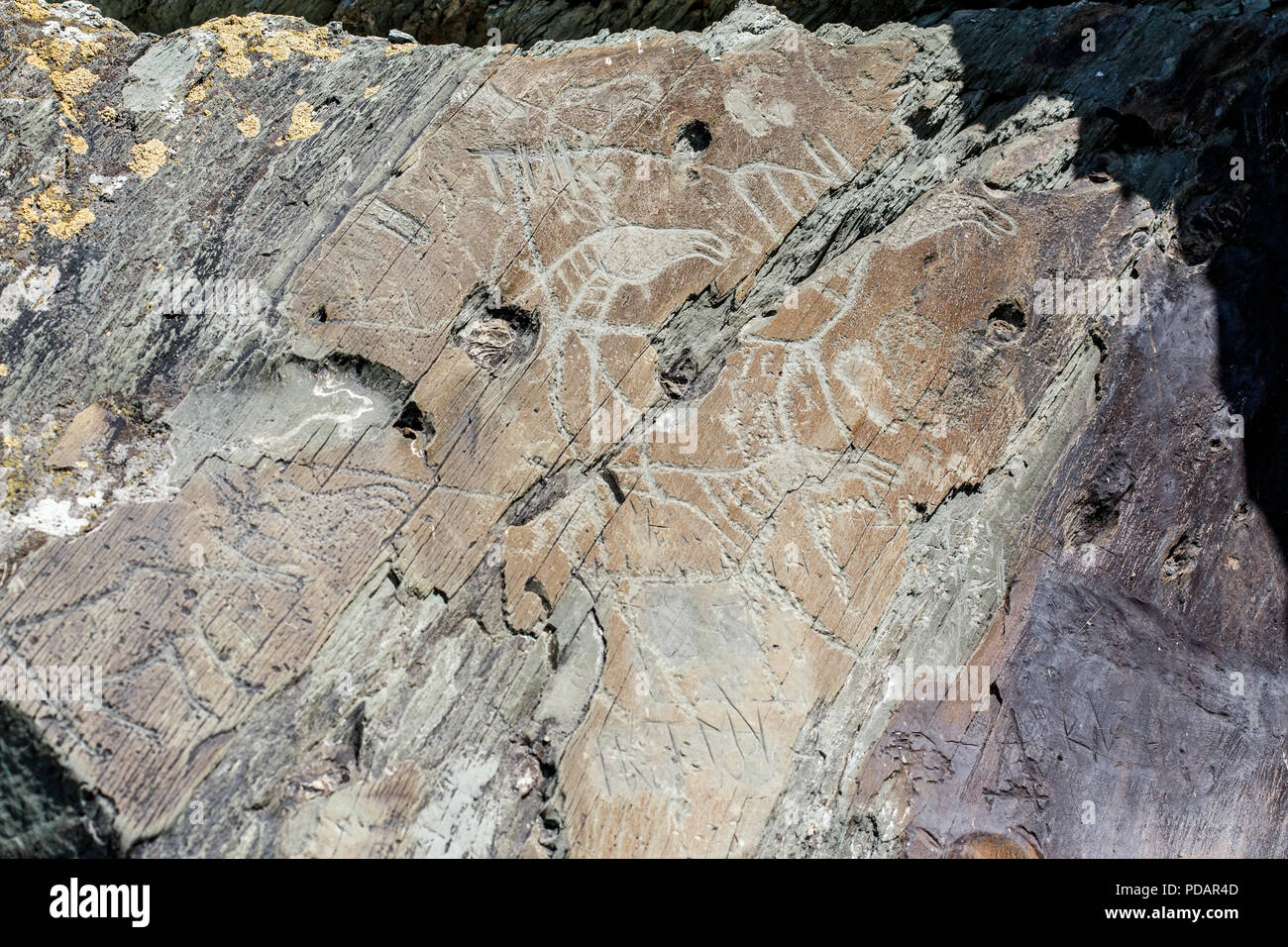Prehistoric men cave drawing hi-res stock photography and images - Alamy