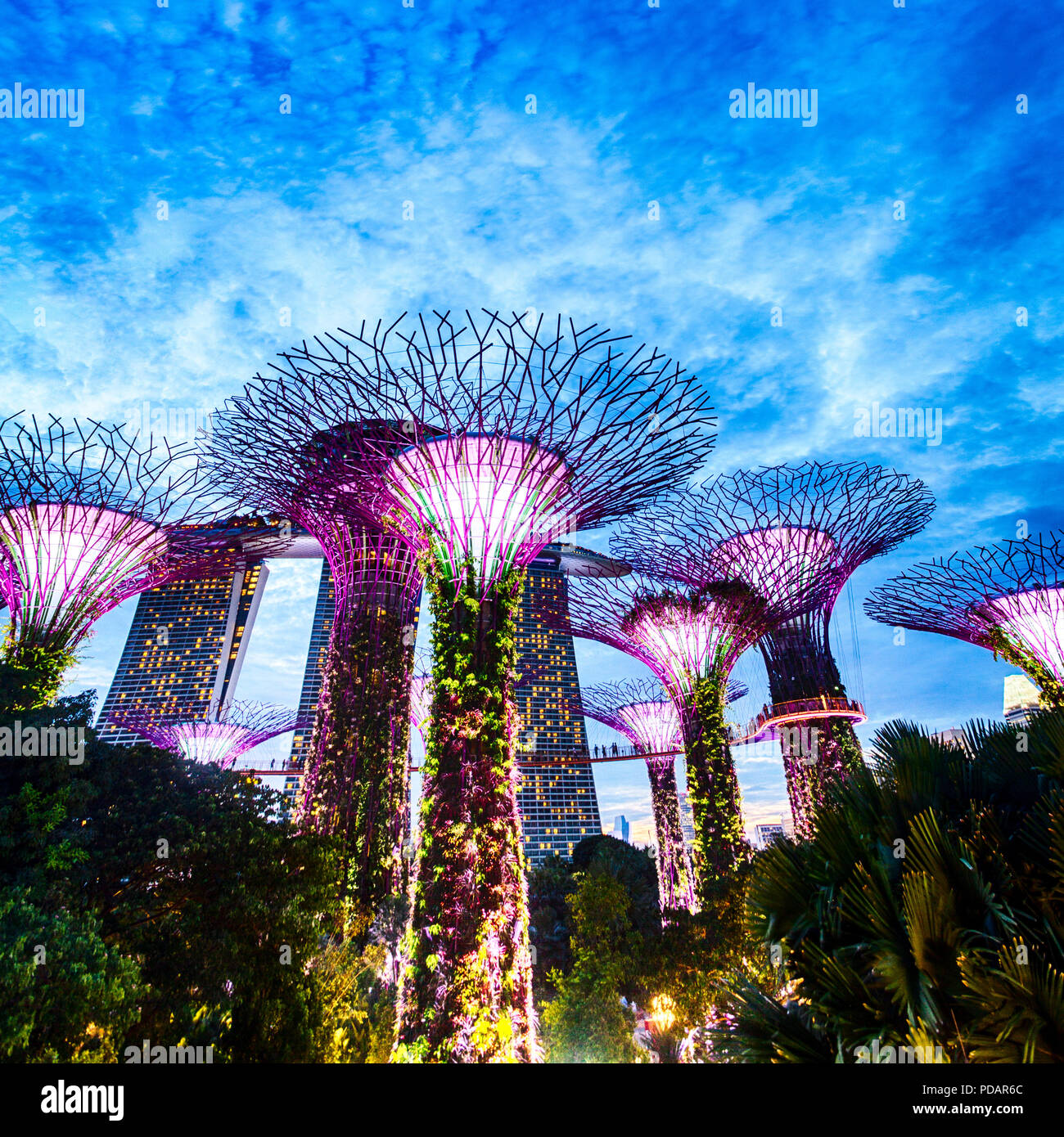 Metal supertrees hi-res stock photography and images - Alamy