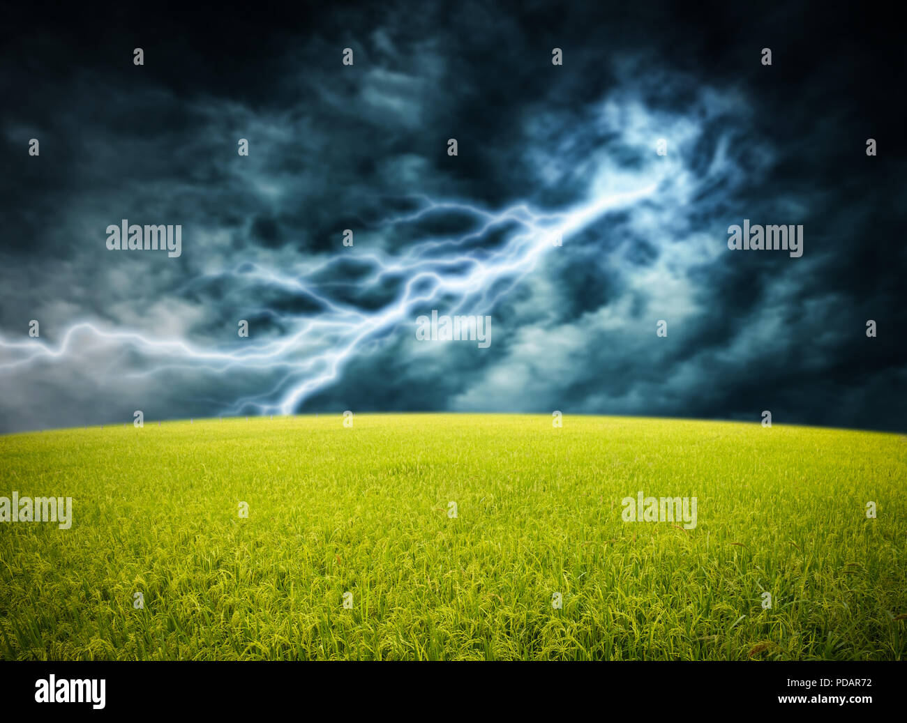 Rice field weather storm hi-res stock photography and images - Alamy