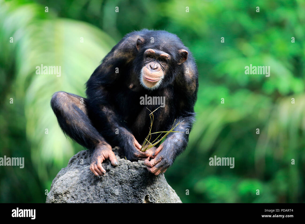 Using tool hi-res stock photography and images - Alamy