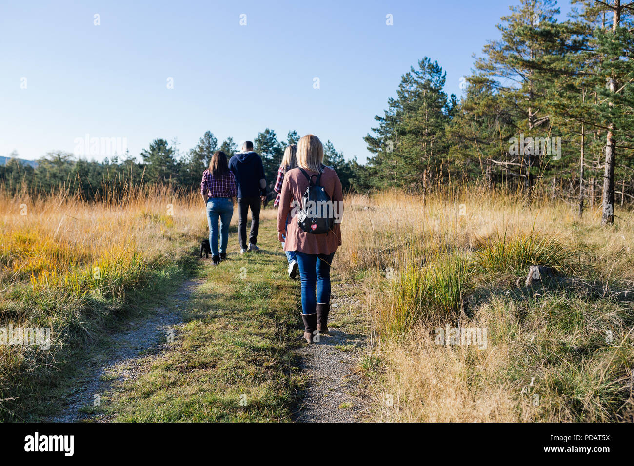 Small group of young people enjoying outdoors with beautiful black ...