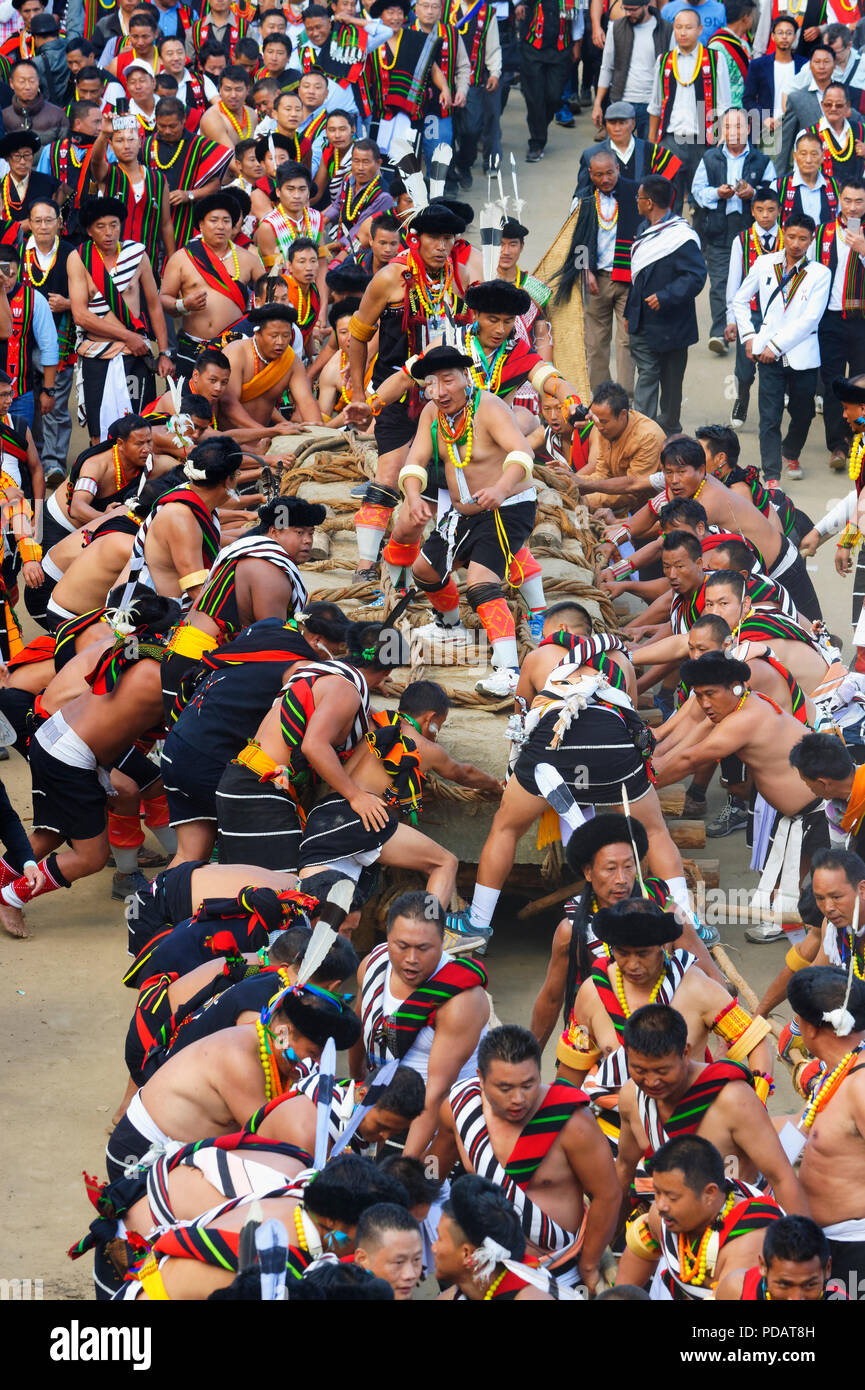 Stone pulling ceremony during Kisima Nagaland Hornbill festival, Kohima ...