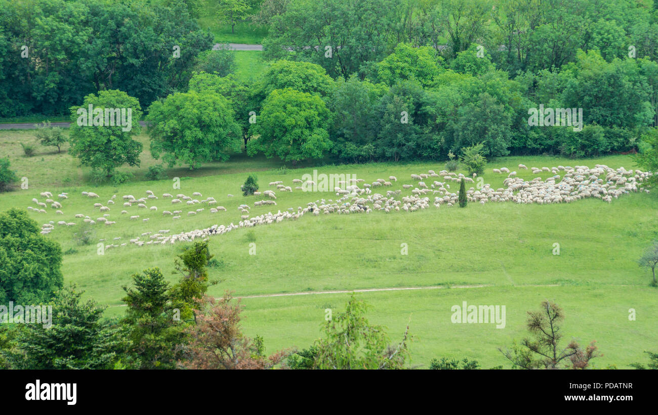 Germany green pasture hi-res stock photography and images - Alamy