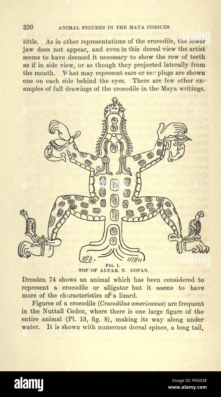 Animal figures in the Maya codices (Page 320, Fig. 1 Stock Photo - Alamy
