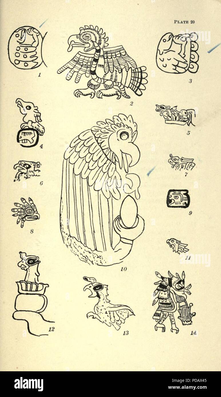 Animal figures in the Maya codices (Plate 20 Stock Photo - Alamy
