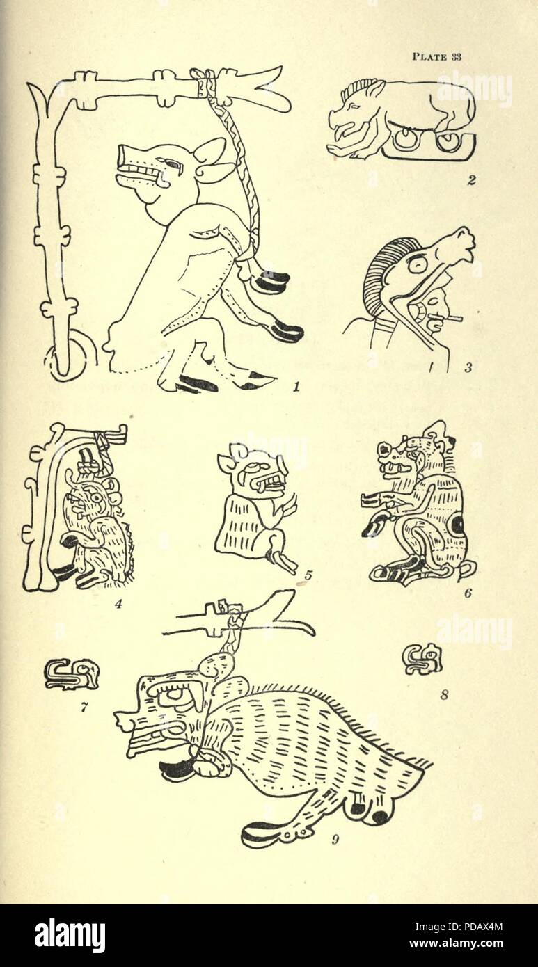 Animal figures in the Maya codices (Plate 33 Stock Photo - Alamy