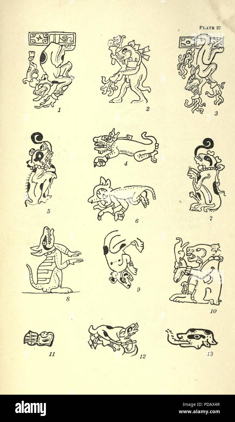 Animal figures in the Maya codices (Plate 37 Stock Photo - Alamy