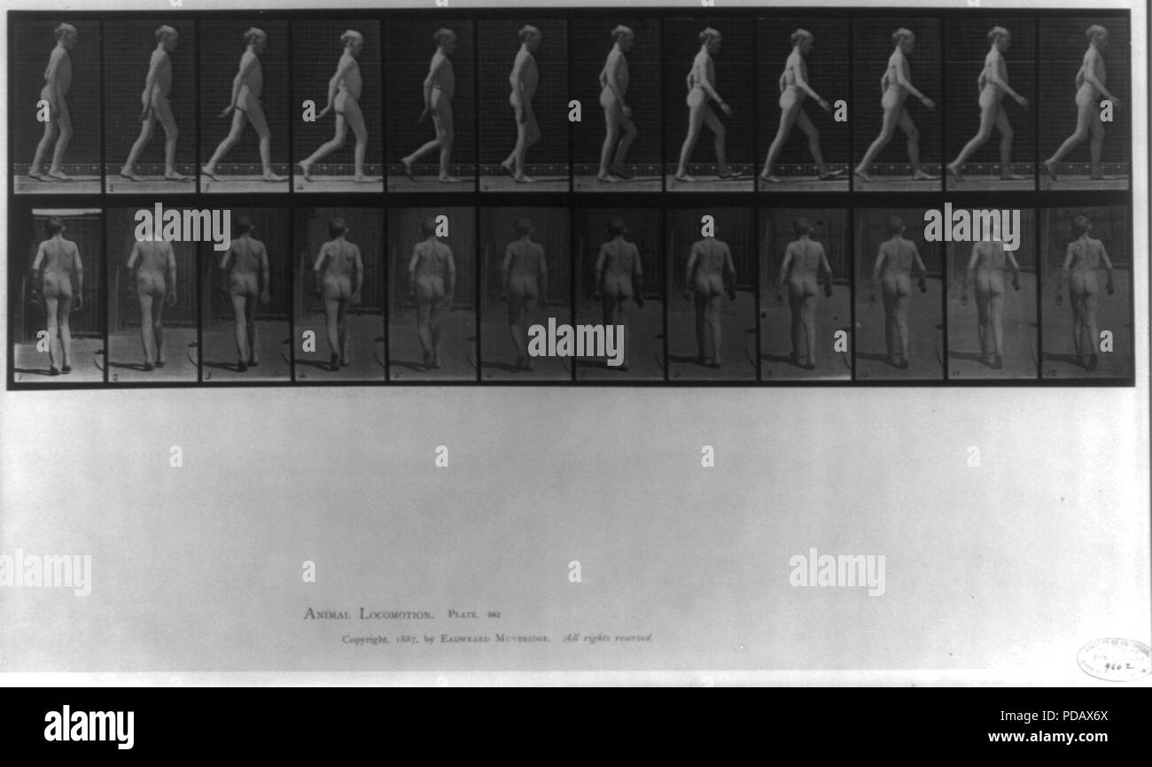 Animal Locomotion - side and rear views of boy walking (pl. 562 Stock ...