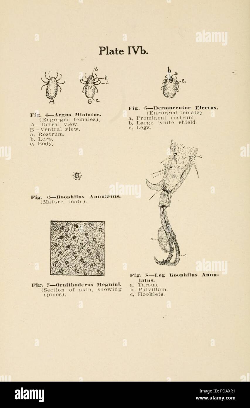 Animal parasites and parasitic diseases Stock Photo - Alamy