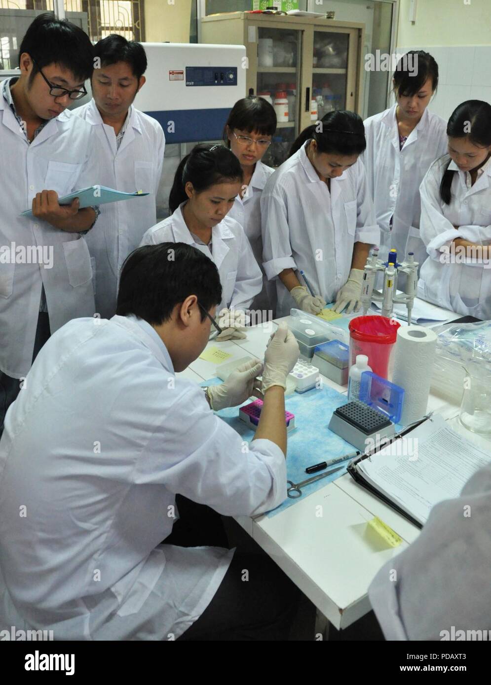 Animal virus detection lab training in Hanoi Stock Photo - Alamy