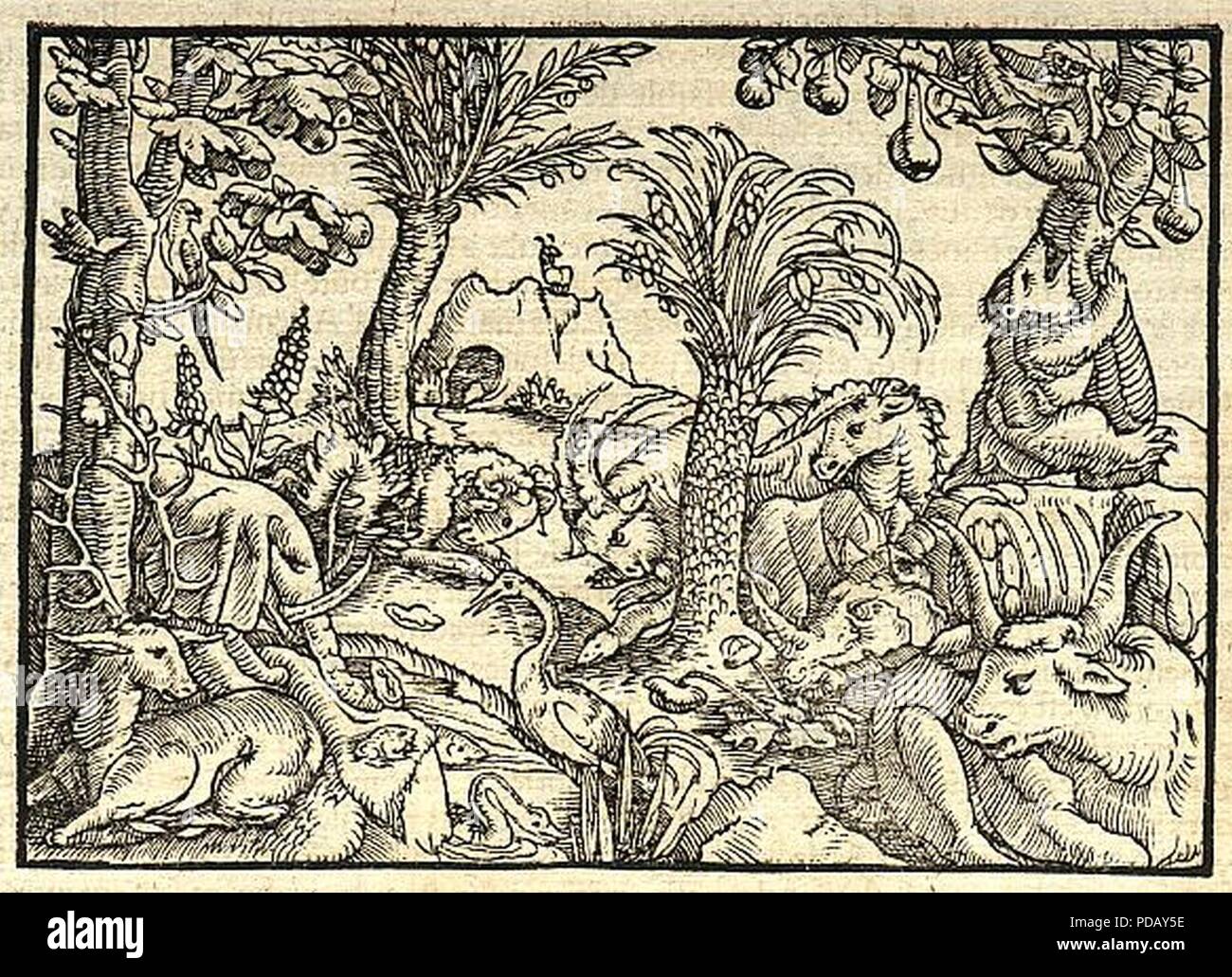 Animals including a unicorn (1540 Stock Photo - Alamy