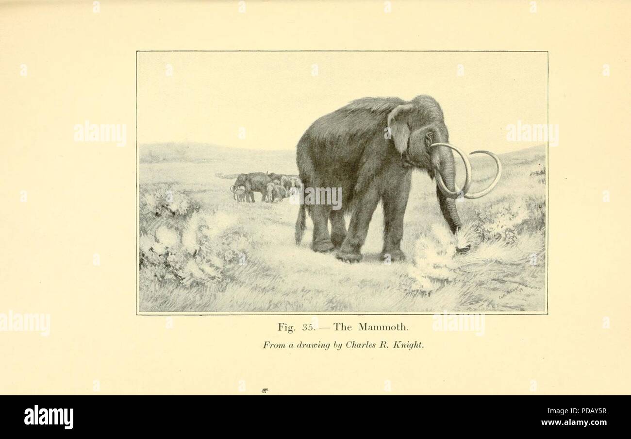 Animals of the past (Fig. 16 Stock Photo - Alamy