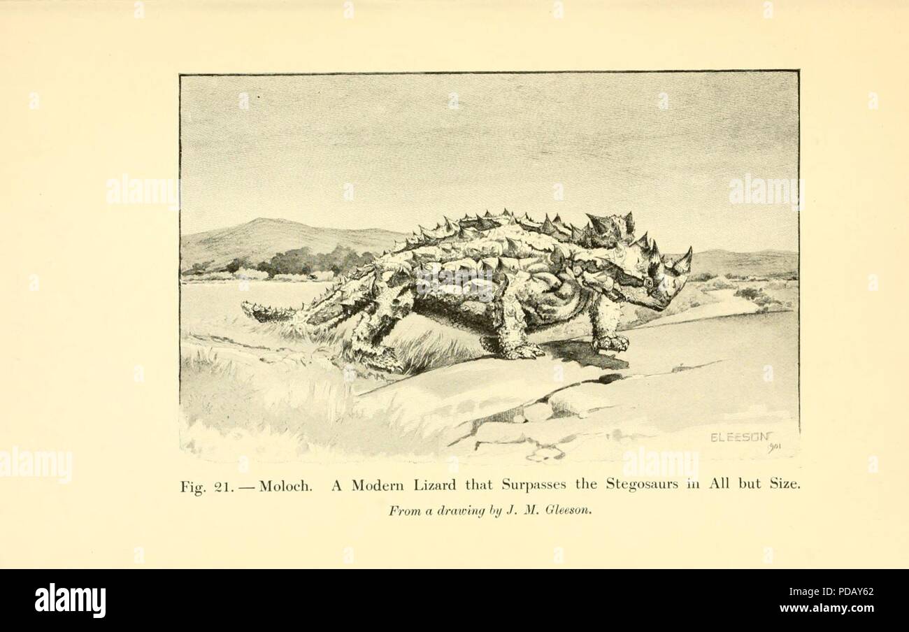 Animals of the past (Fig. 16 Stock Photo - Alamy