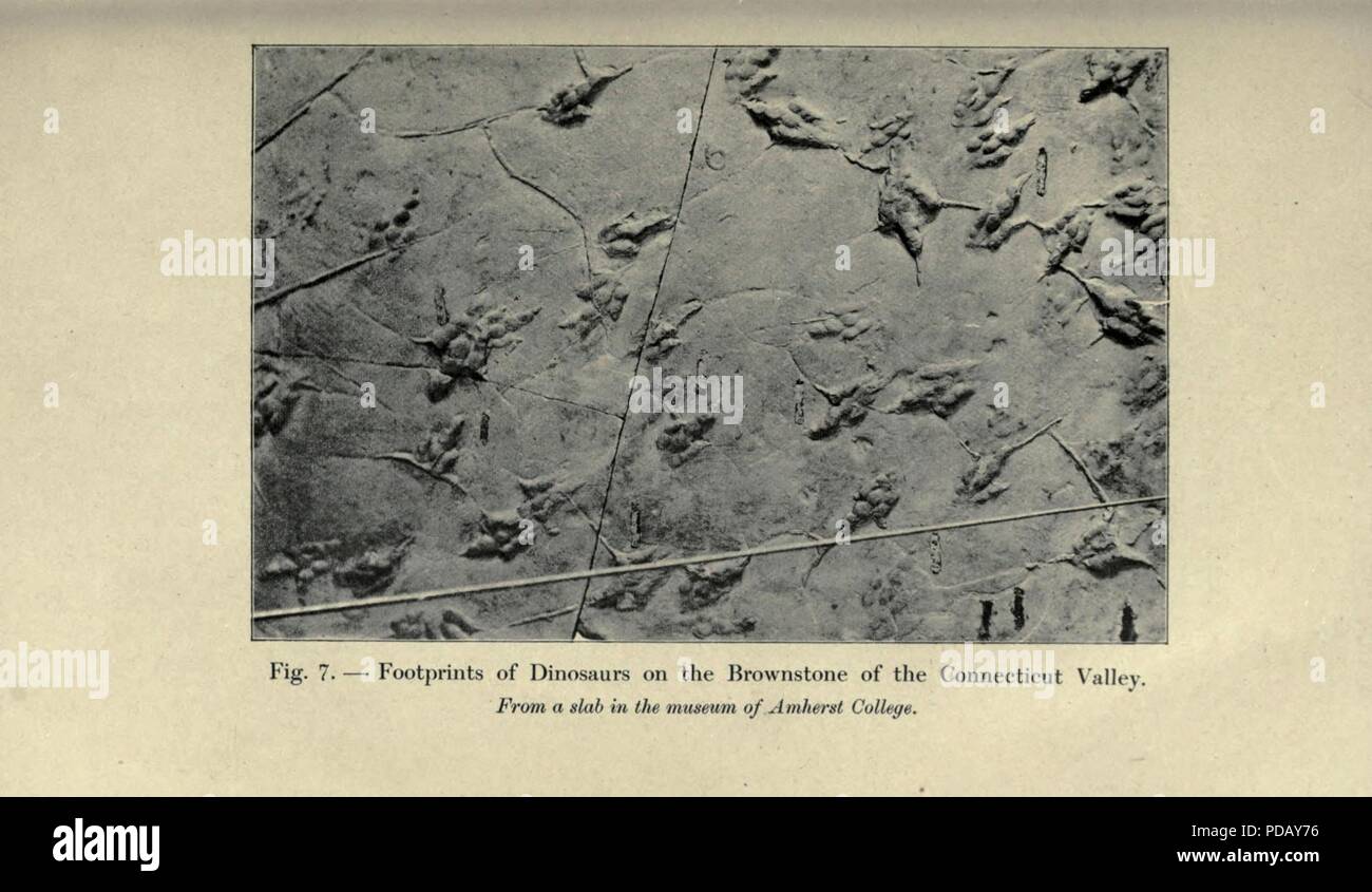 Animals of the past Stock Photo - Alamy