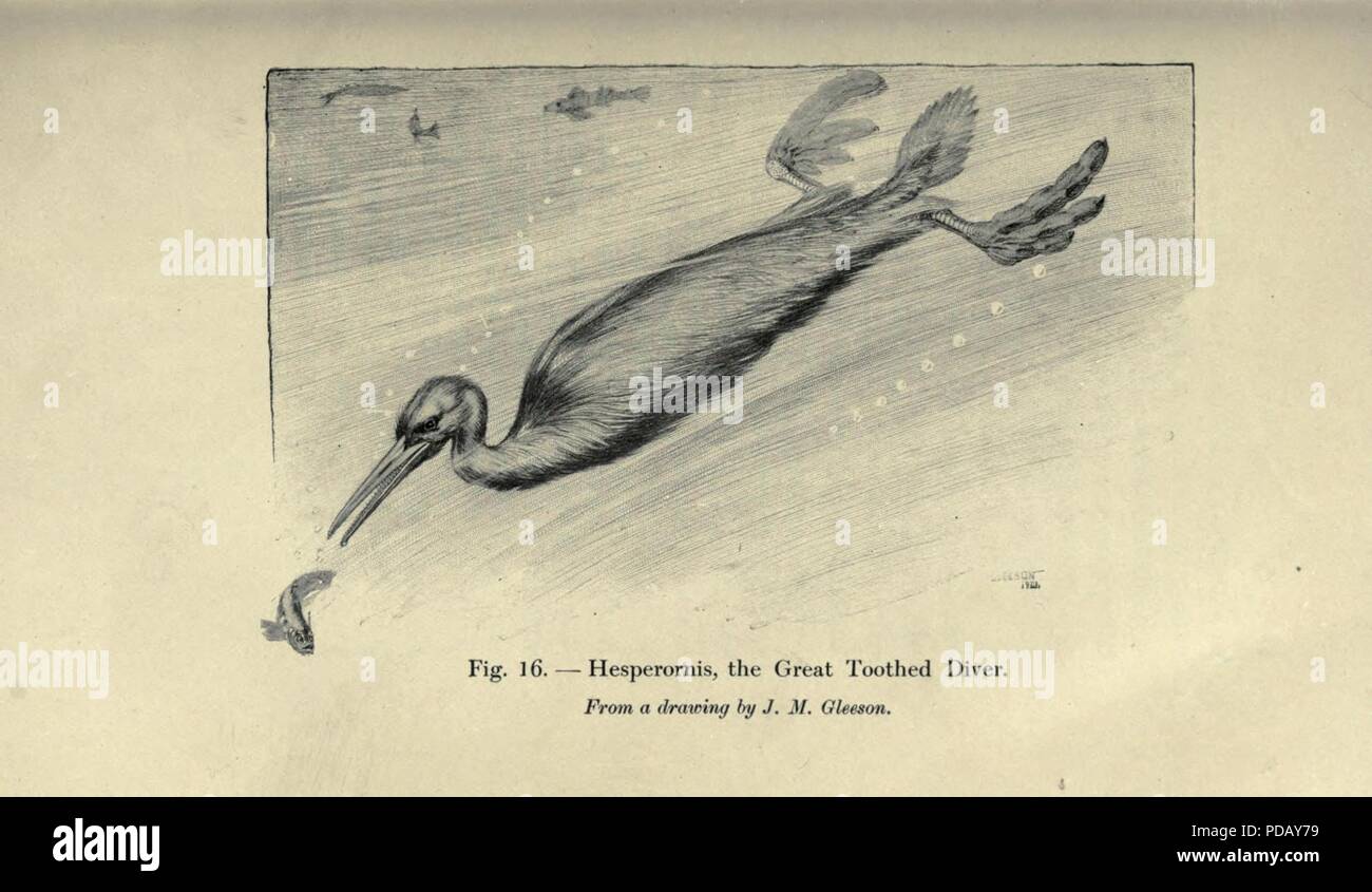 Animals of the past Stock Photo - Alamy