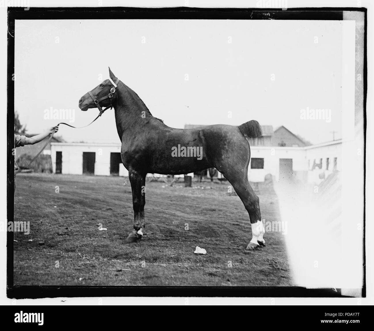 Photo animation Black and White Stock Photos & Images - Alamy