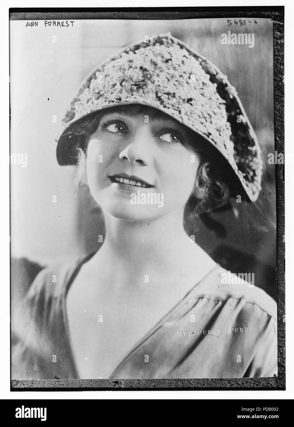 Ann forrest hi-res stock photography and images - Alamy