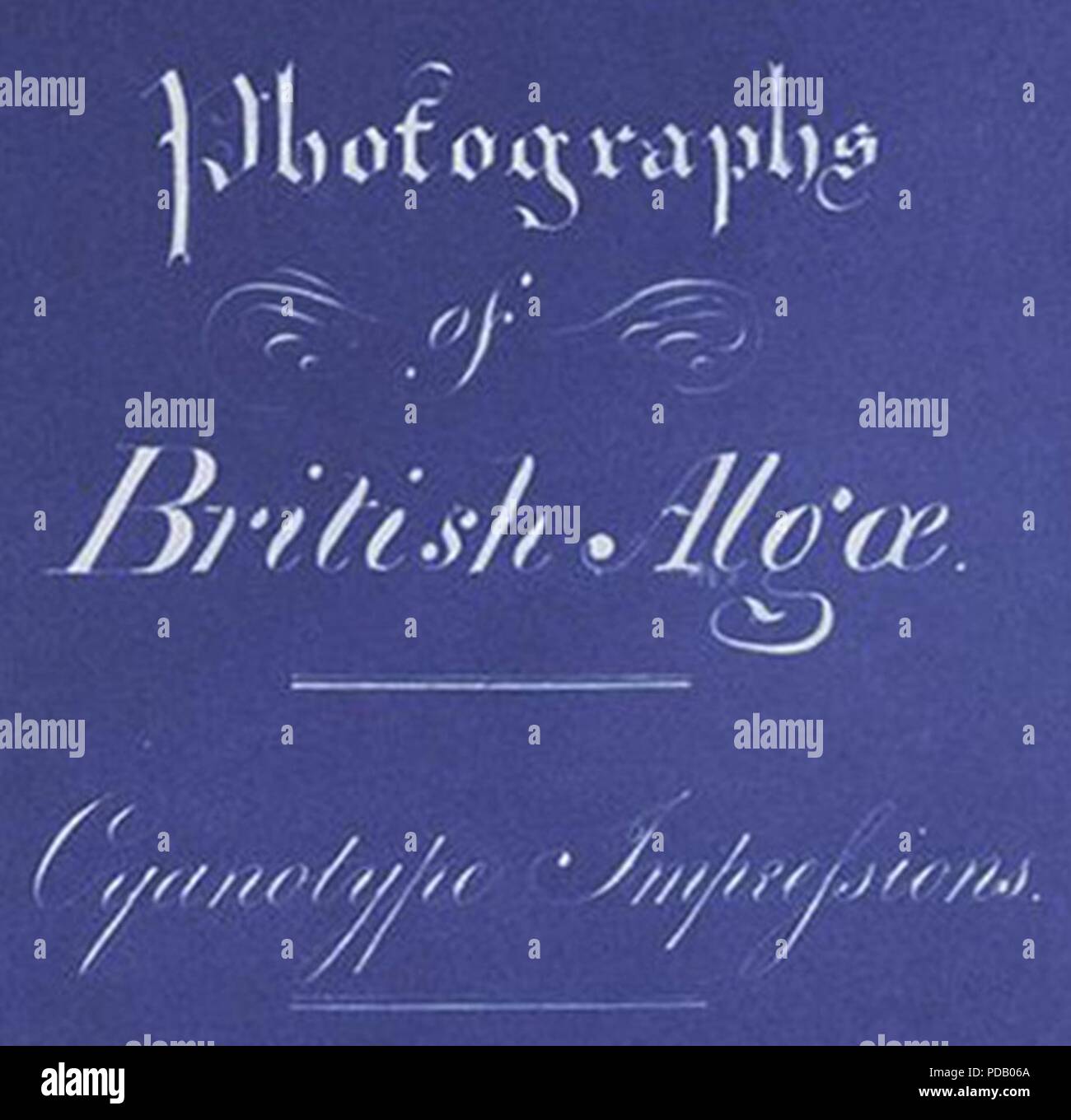 Anna Atkins Title Page of Photographs of British Algae Cyanotype ...