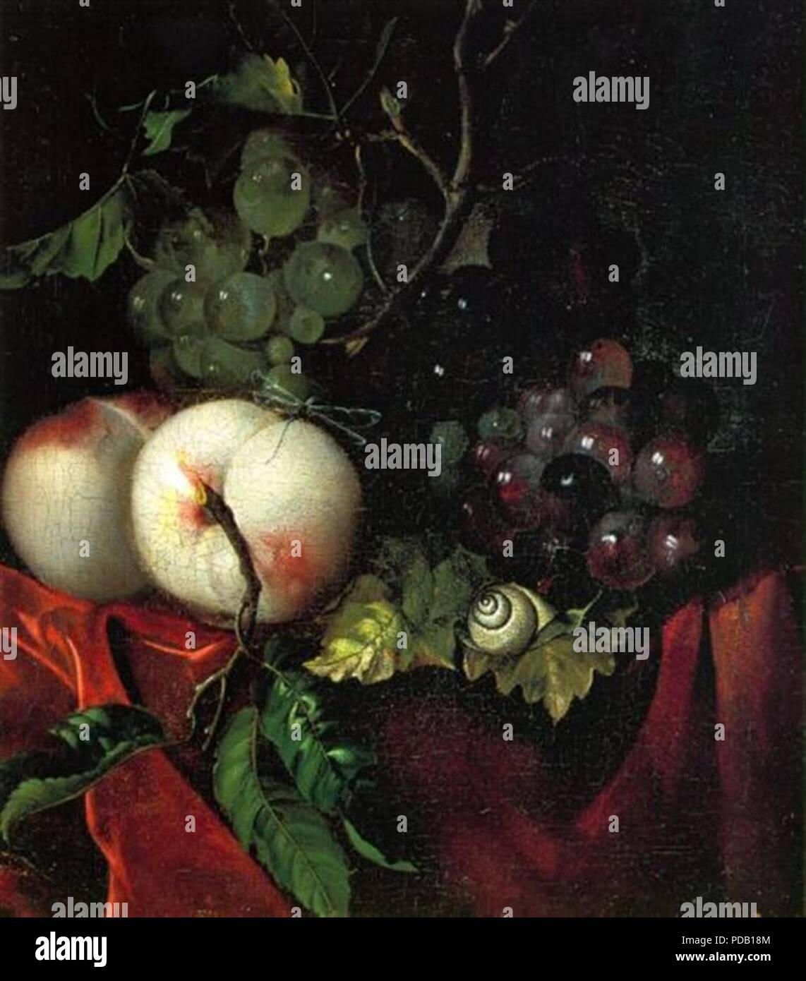 Anna Ruysch - Still Life with Grapes, Peaches and Snail Stock Photo - Alamy