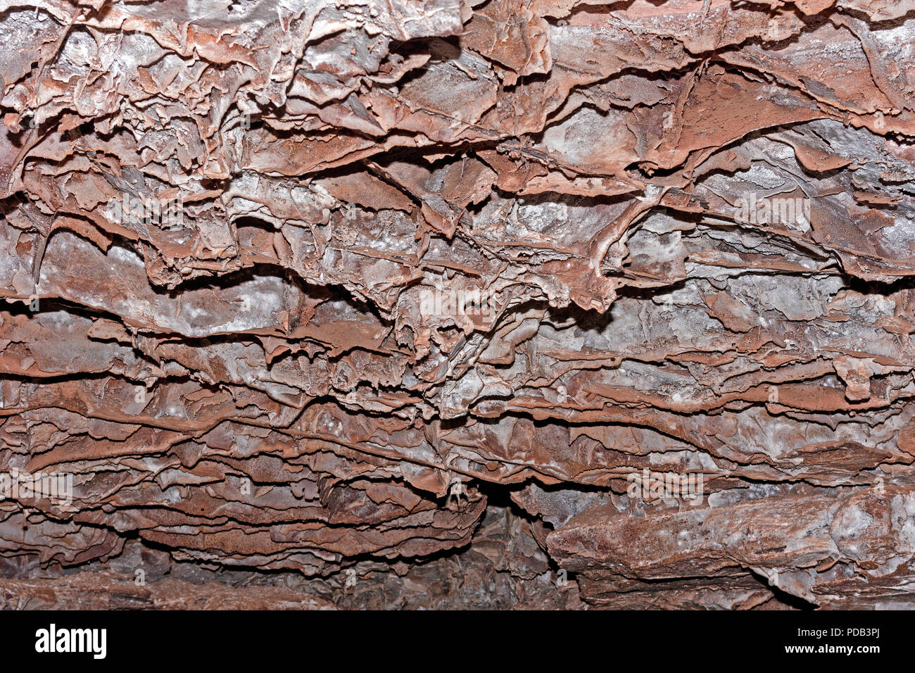 Boxwork Designs in a Wind Cave National Park in South Dakota Stock ...