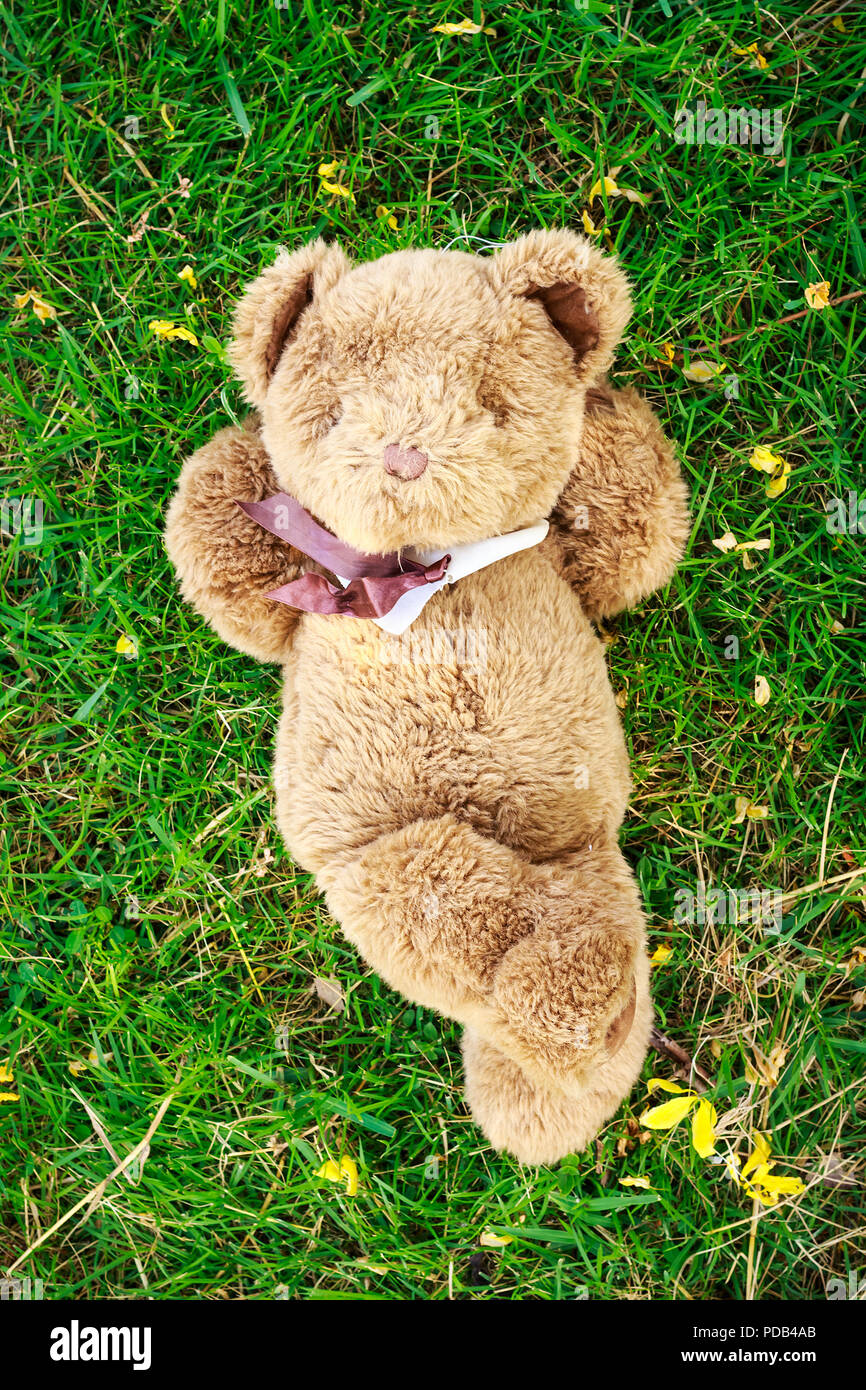 a cute teddy bear lying on grass and notebook to fill Stock Photo - Alamy