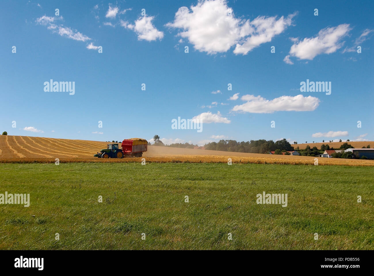 Harvesting. A tractor collecting wheat on a field Stock Photo - Alamy