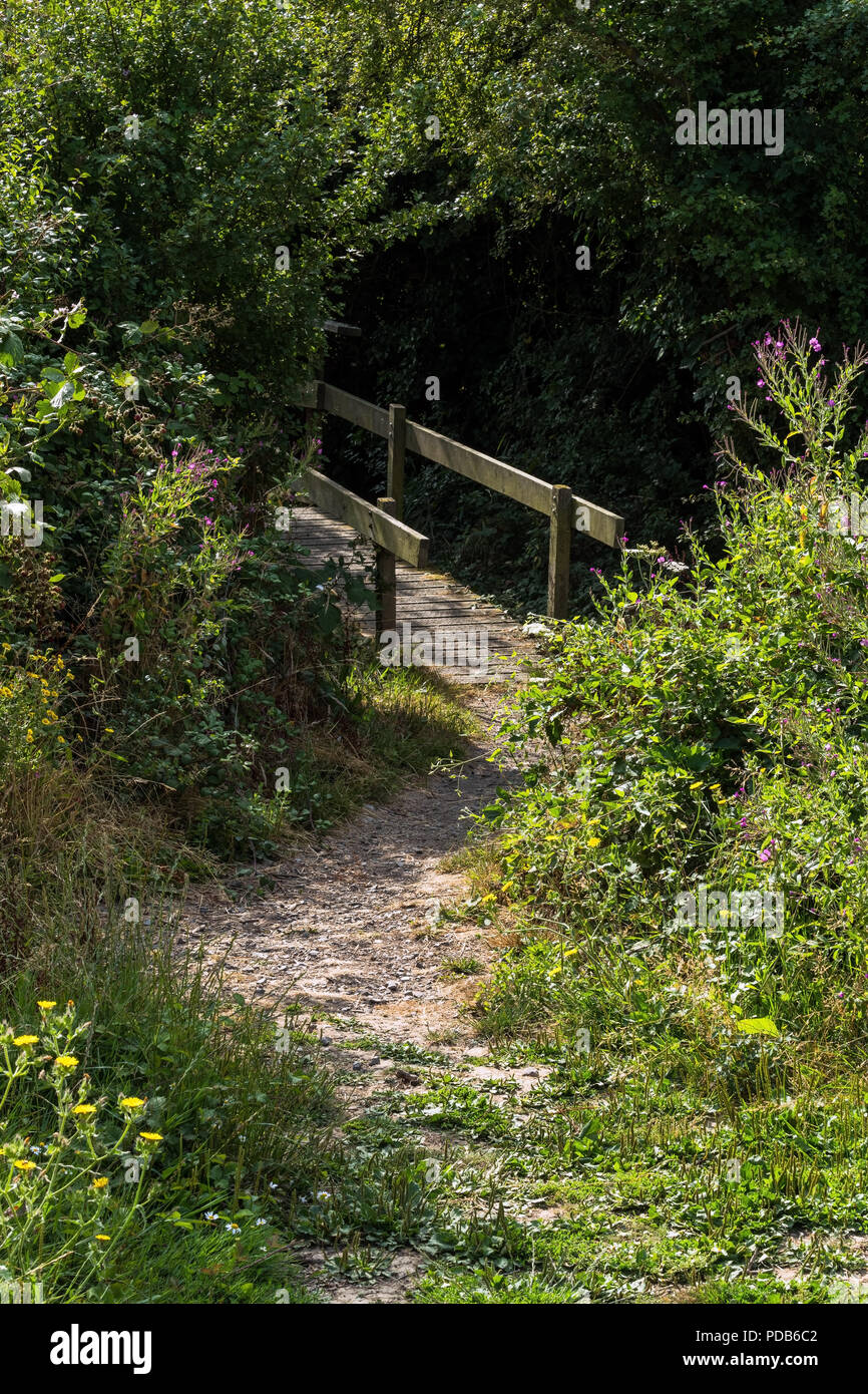 Country walking magazine hi-res stock photography and images - Alamy