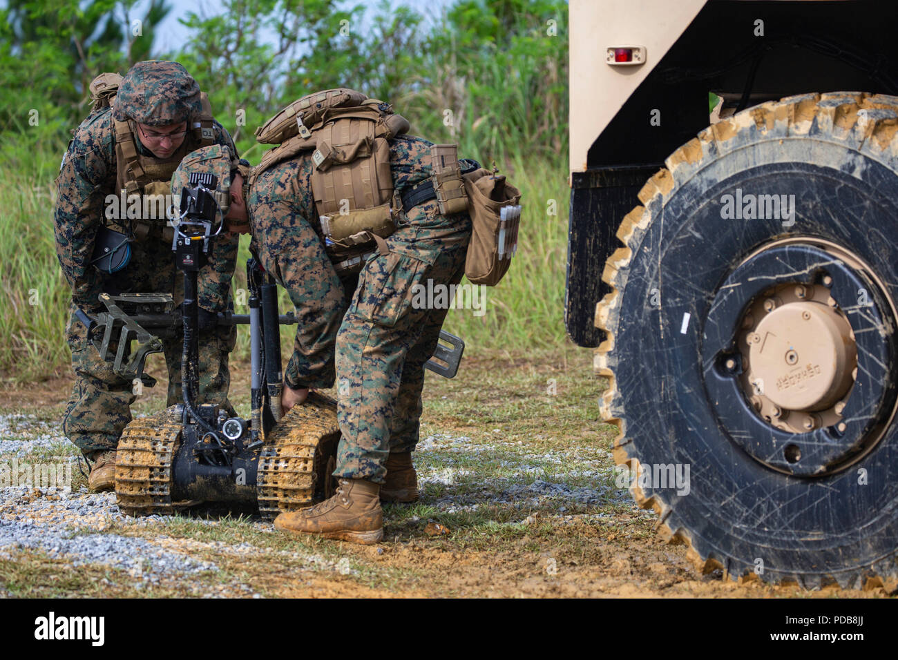 Talon mark ii hi-res stock photography and images - Alamy