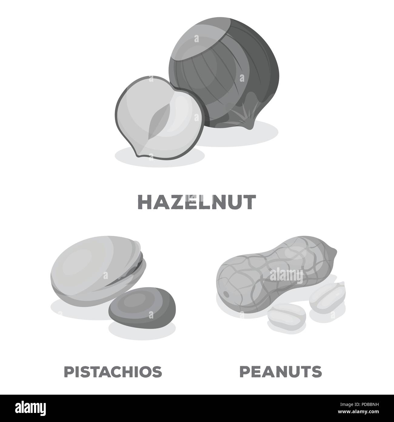 Different kinds of nuts monochrome icons in set collection for design ...
