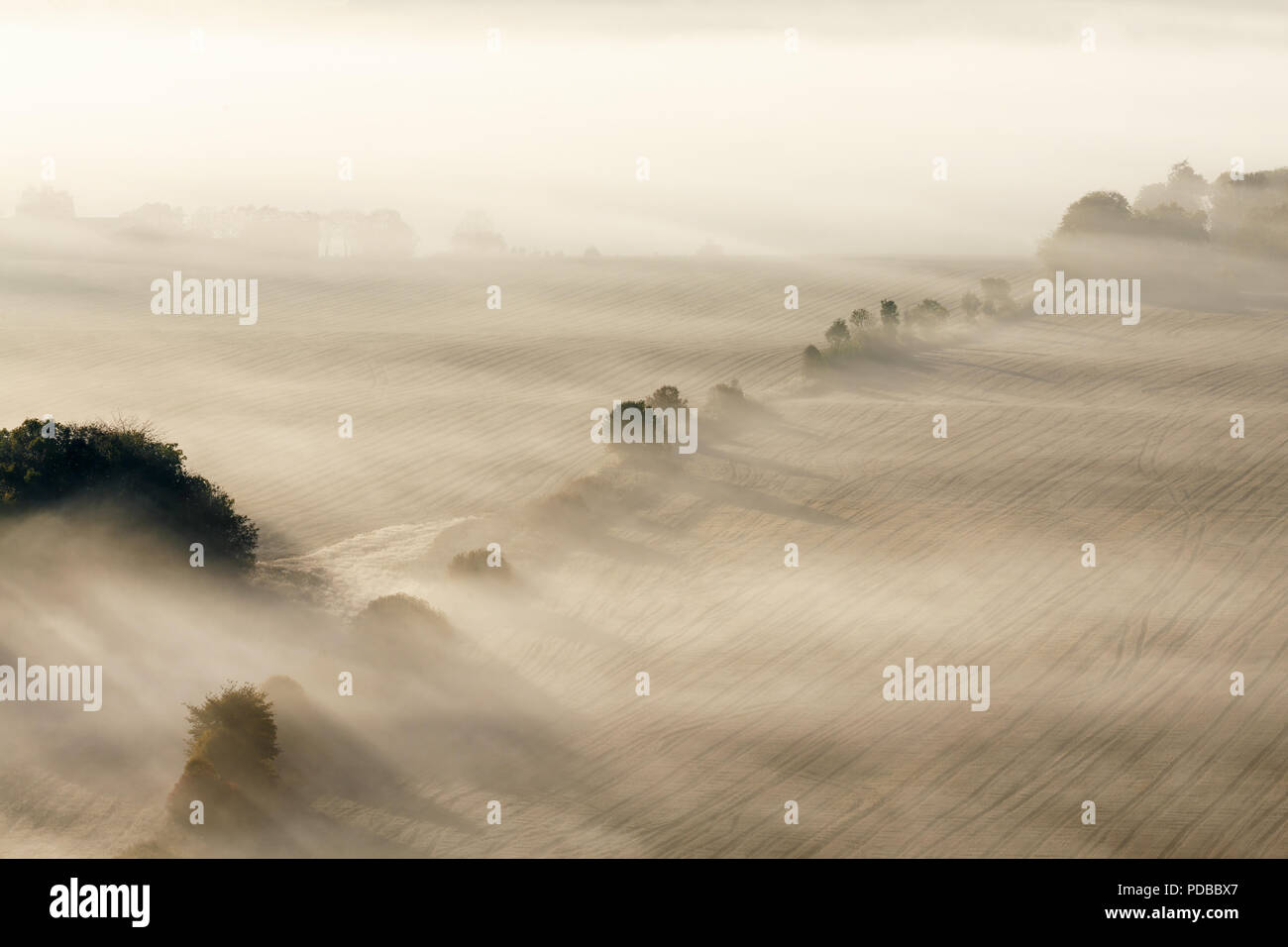Morning fog with sun rays across the field Stock Photo - Alamy