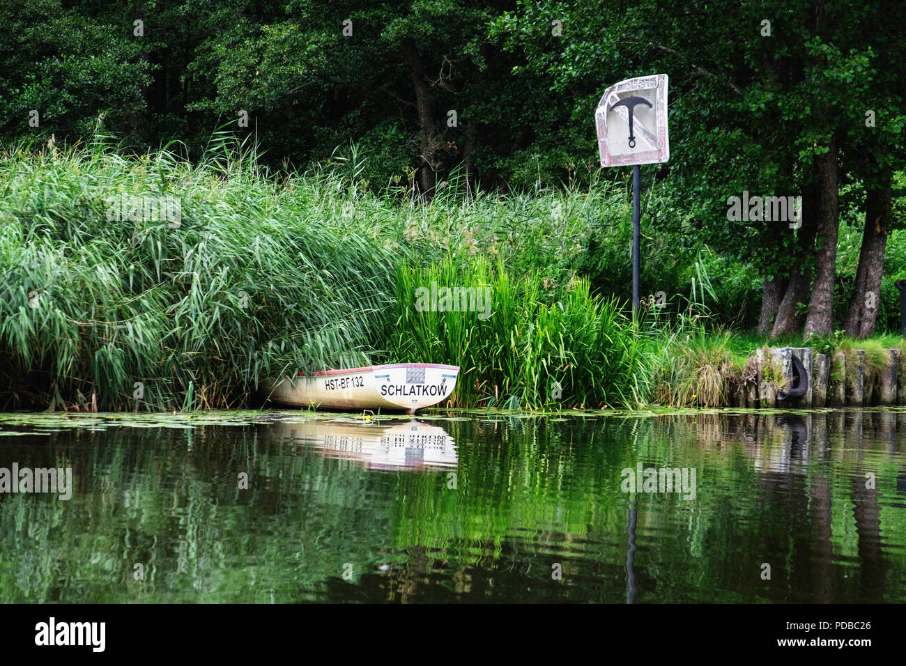 Germany, River Peene - Peenetal nature conservation park. Wetlands with ...