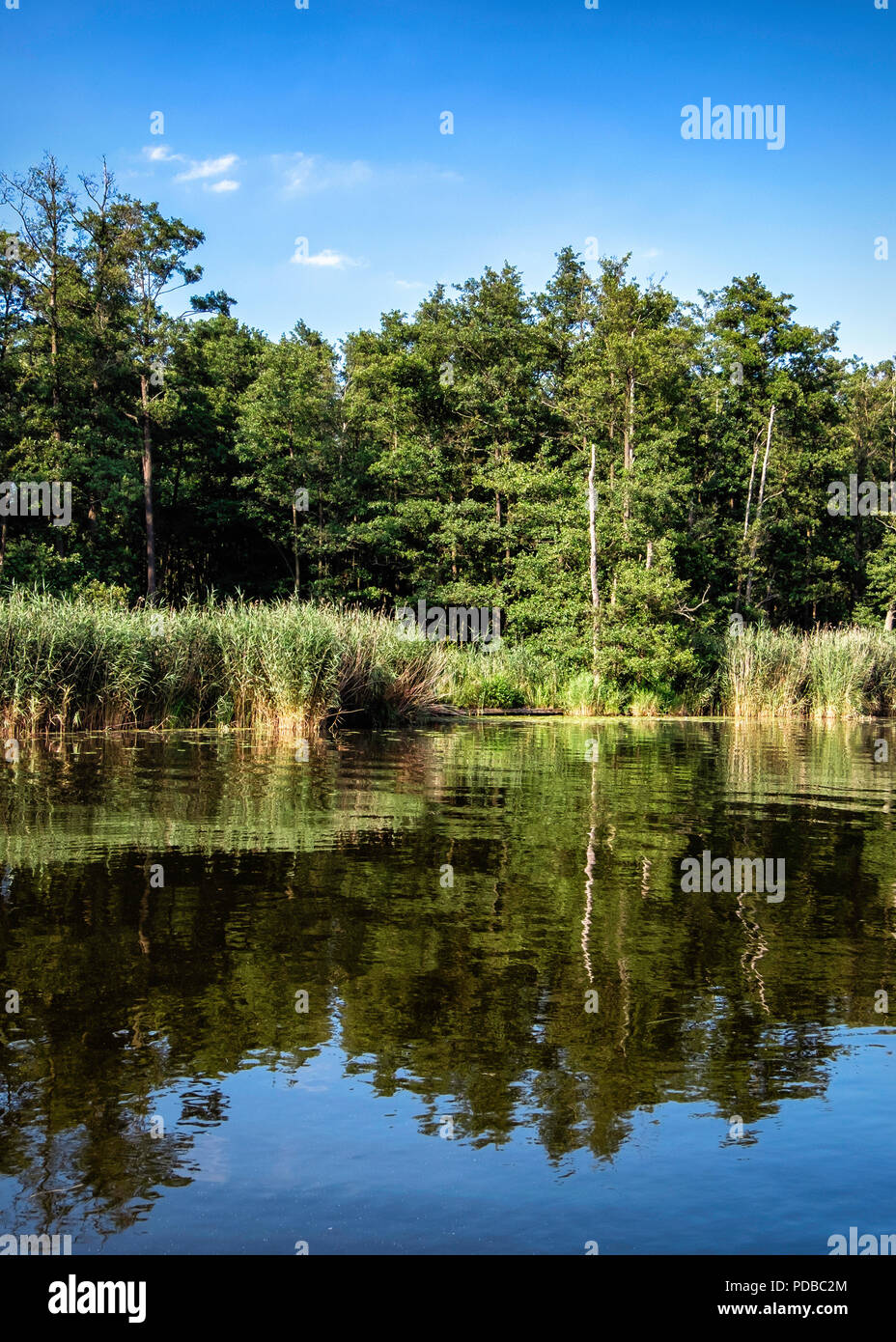 Bank conservation area hi-res stock photography and images - Alamy